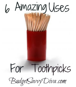 6 Amazing Uses For Toothpicks - Budget Savvy Diva