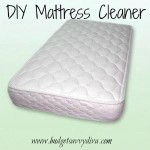 How to Make Homemade Mattress Cleaner - Budget Savvy Diva