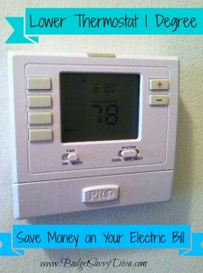 Save on Your Electric Bill: Lower Thermostat - Budget Savvy Diva