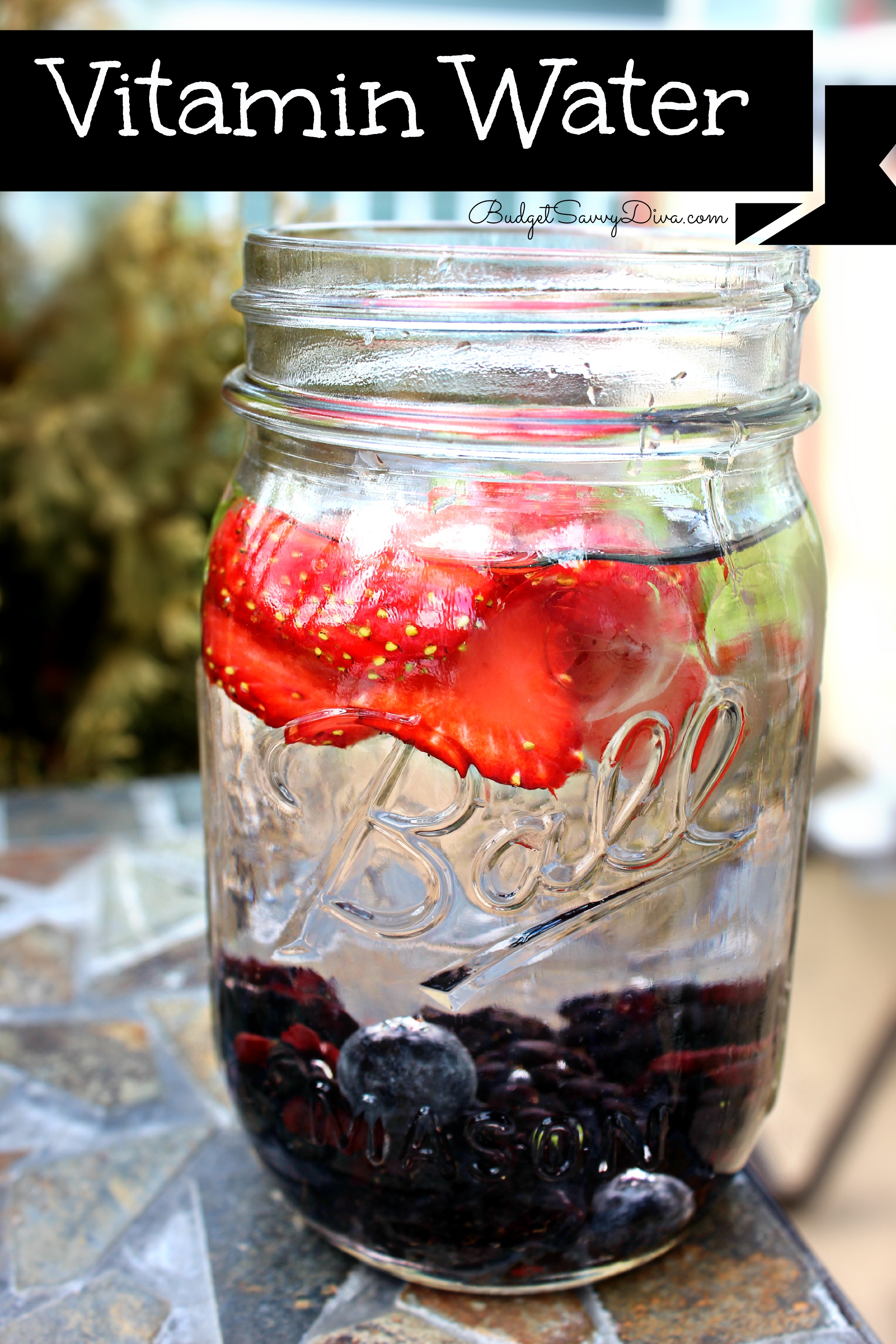 Vitamin Water Recipe - Budget Savvy Diva