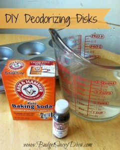 DIY Deodorizing Disks - Budget Savvy Diva