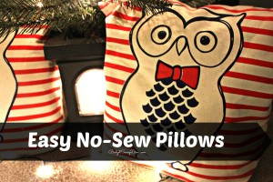 How to Make an Easy No-Sew Pillow - Budget Savvy Diva