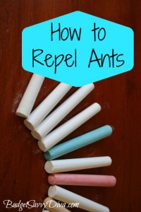 How to Repel Ants - Budget Savvy Diva