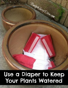 How to Use Diapers to Keep Your Plants Watered - Budget Savvy Diva