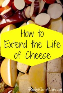 How to Extend the Life of Cheese - Budget Savvy Diva
