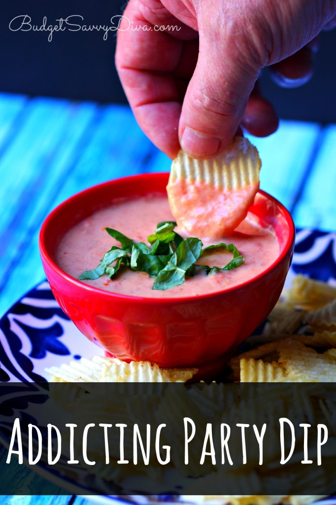 Addicting Party Dip Recipe - Budget Savvy Diva