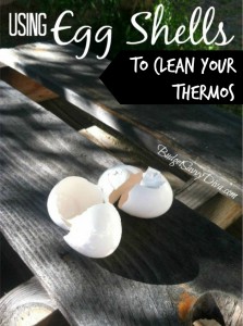 How to Use Egg Shells to Clean Your Thermos - Budget Savvy Diva