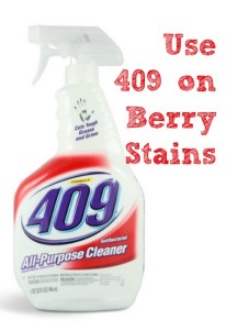 How to Get Out Berry Stains - Budget Savvy Diva