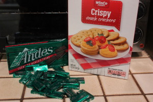 Copycat Recipe: Thin Mints Recipe - Budget Savvy Diva
