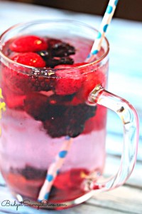 Summer Berry Water Recipe - Budget Savvy Diva