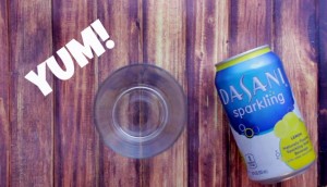 Strawberry Mint & Lemon Sparkling Water Recipe - Budget Savvy Diva