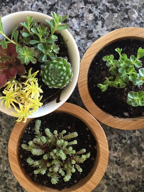 Solar Panel Installation - Step-by-Step Solar Panel Fitting Guide ...