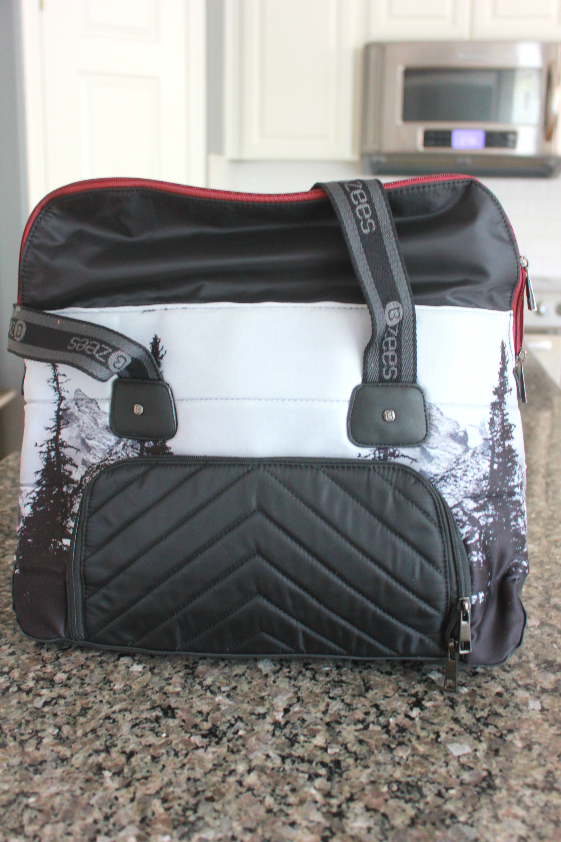 Women's Gemini Handbag - Budget Savvy Diva