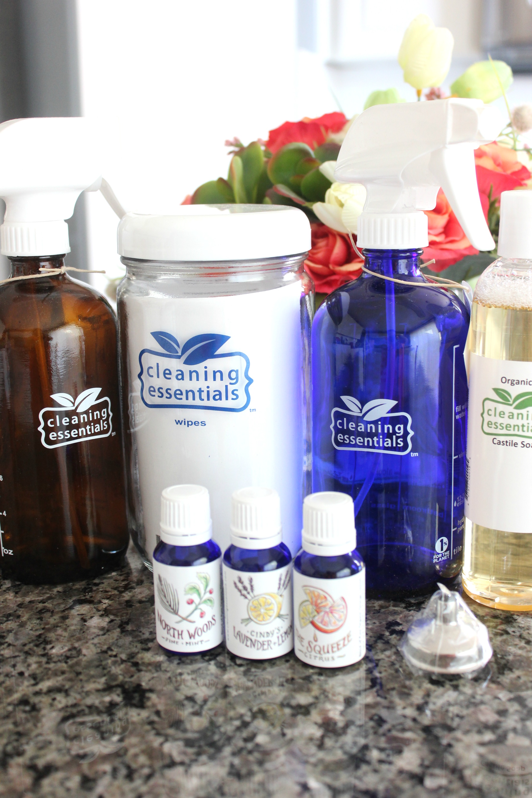 Cleaning Essentials - Budget Savvy Diva