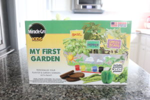 Miracle-Gro Kids My First Garden - Budget Savvy Diva