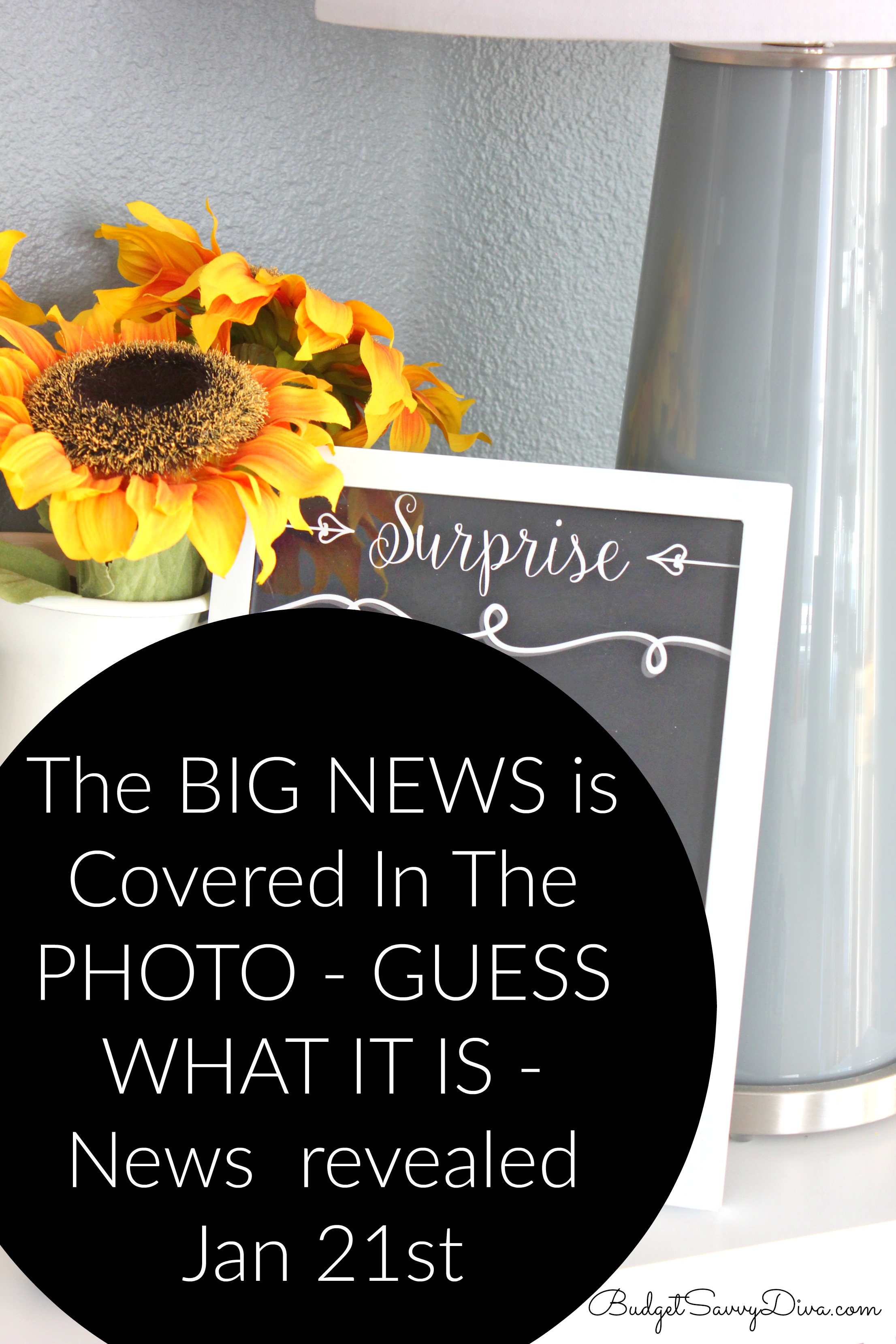 BIG News Giveaway - Budget Savvy Diva