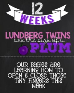 12 Weeks Pregnant With Twins Update - Budget Savvy Diva