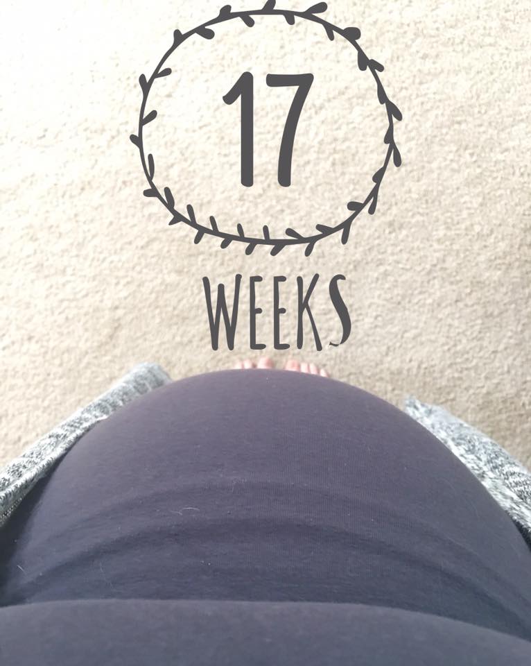 17 Weeks Pregnant With Twins Update - Budget Savvy Diva