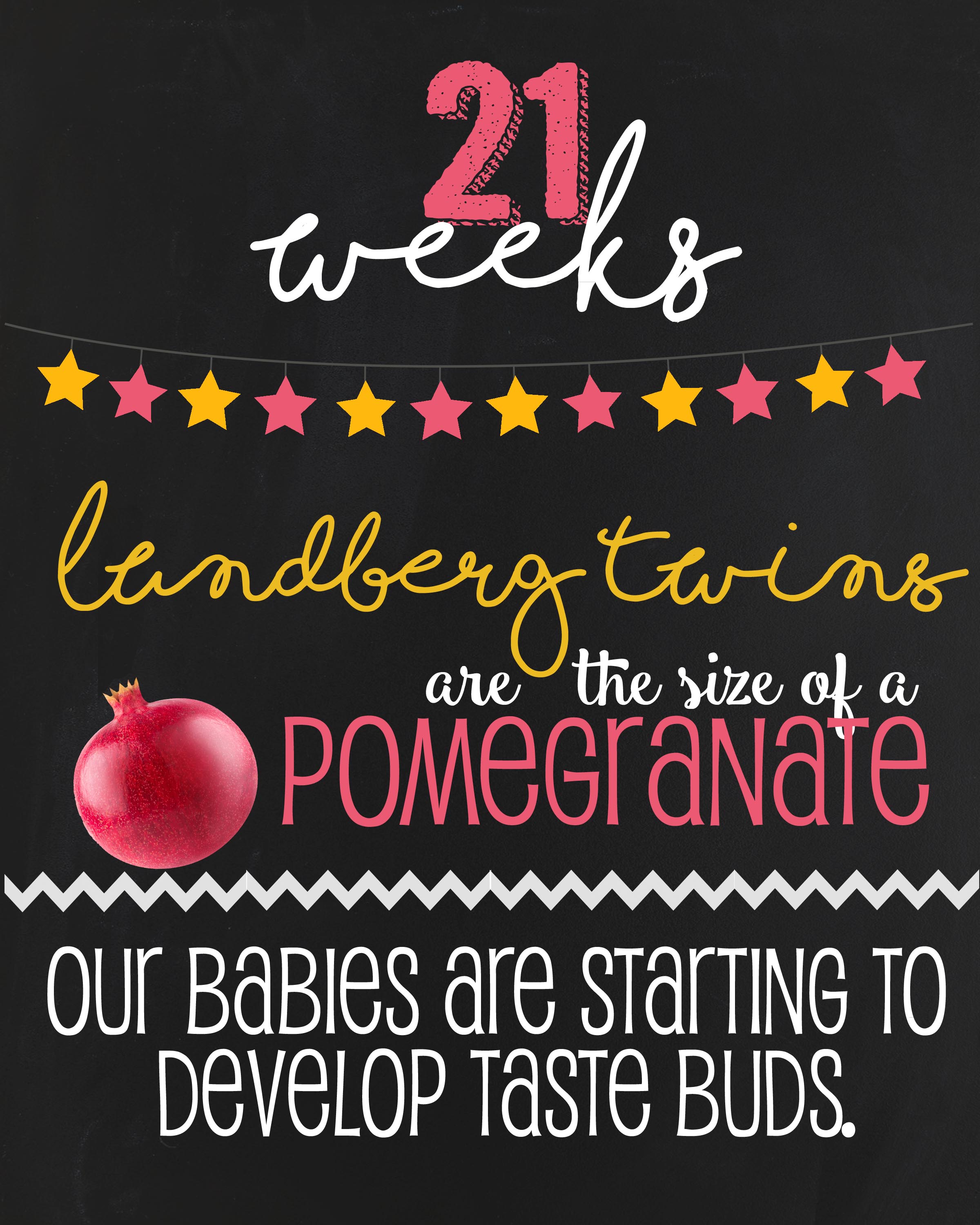 21 Weeks Pregnant With Twins Update - Budget Savvy Diva