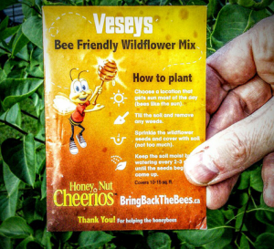 FREE Packet of Wildflower Mix Seeds from Cheerios! - Budget Savvy Diva