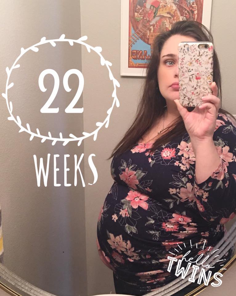 22 Weeks Pregnant With Twins Update - Budget Savvy Diva
