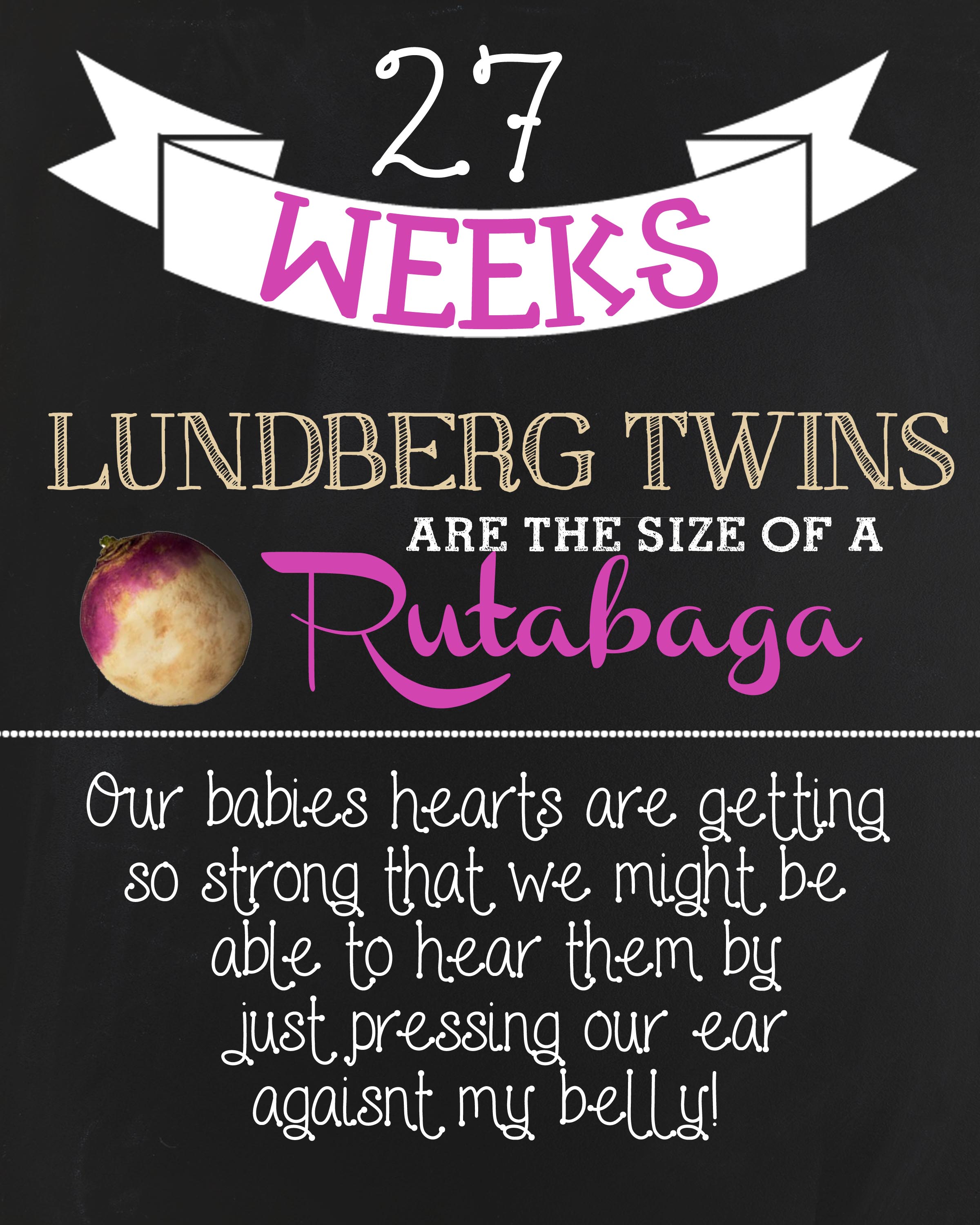 27 Weeks Pregnant With Twins Update - Budget Savvy Diva