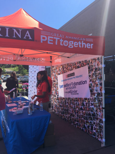 Celebrate National Pet Month With Purina - Budget Savvy Diva