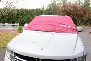 FrostGuard is a MUST for Frost - Budget Savvy Diva