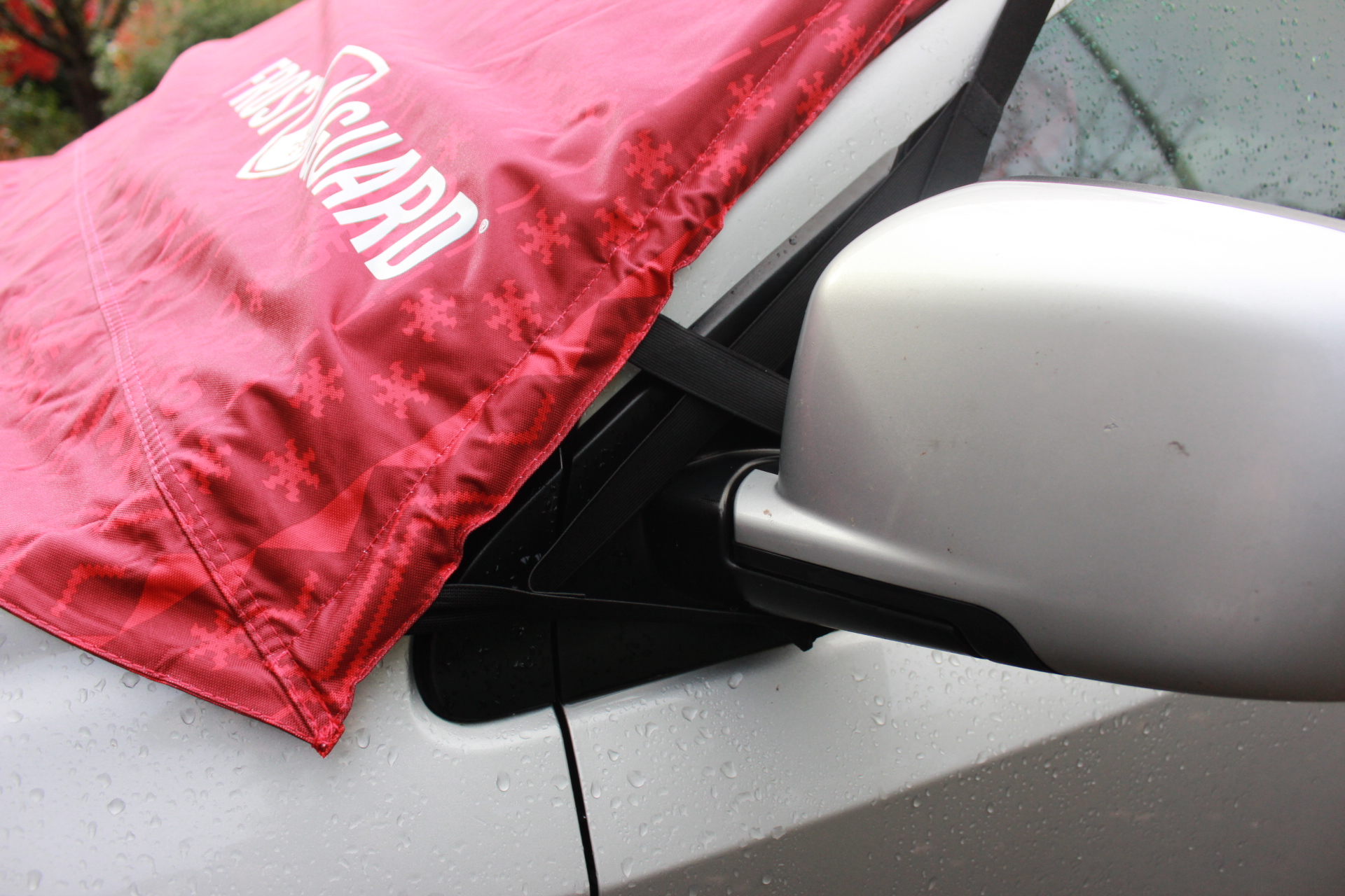 FrostGuard is a MUST for Frost - Budget Savvy Diva