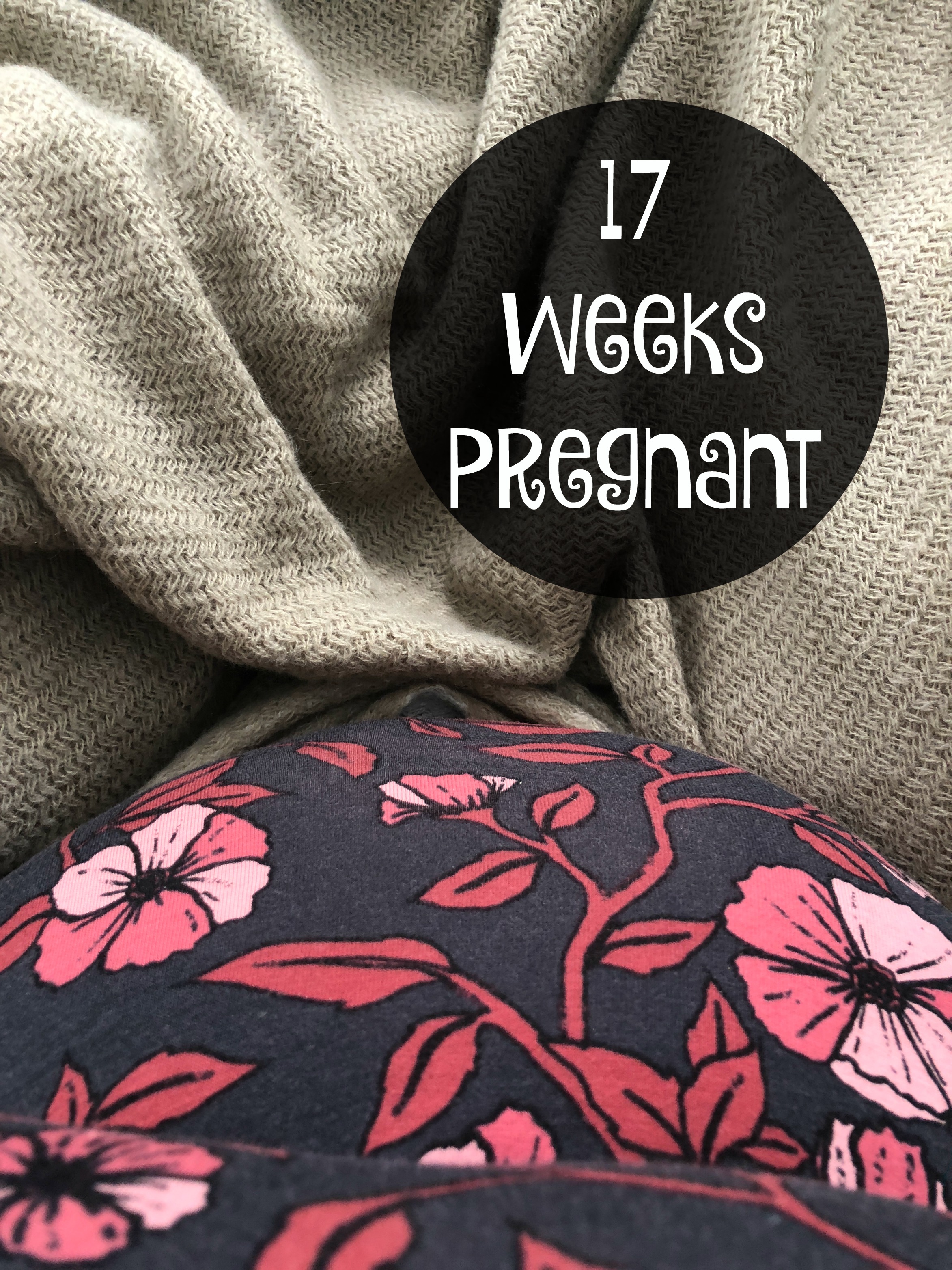 17 Week Pregnancy Update With Baby 3 - Budget Savvy Diva