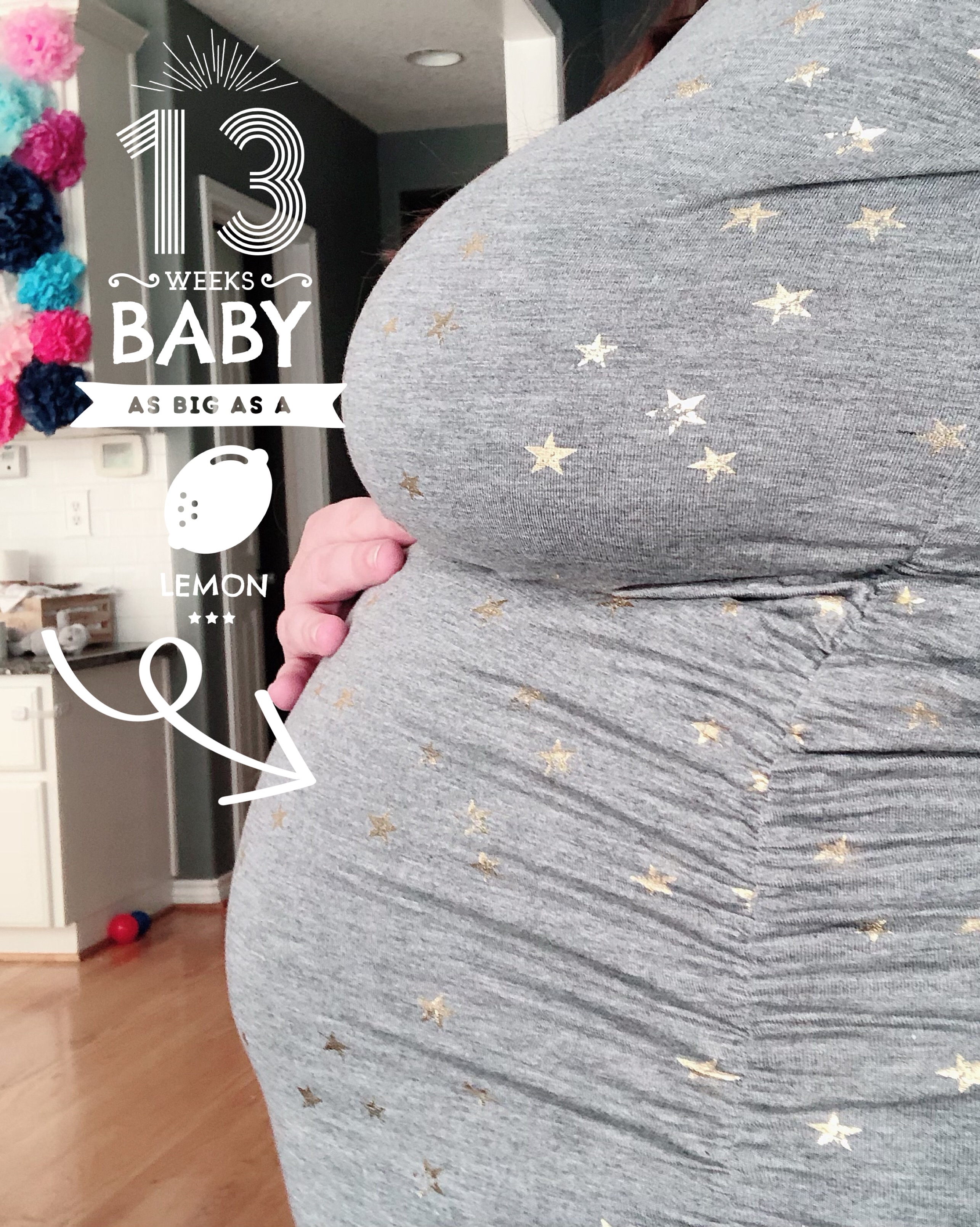 13 Week Pregnancy Update With Baby 3 - Budget Savvy Diva