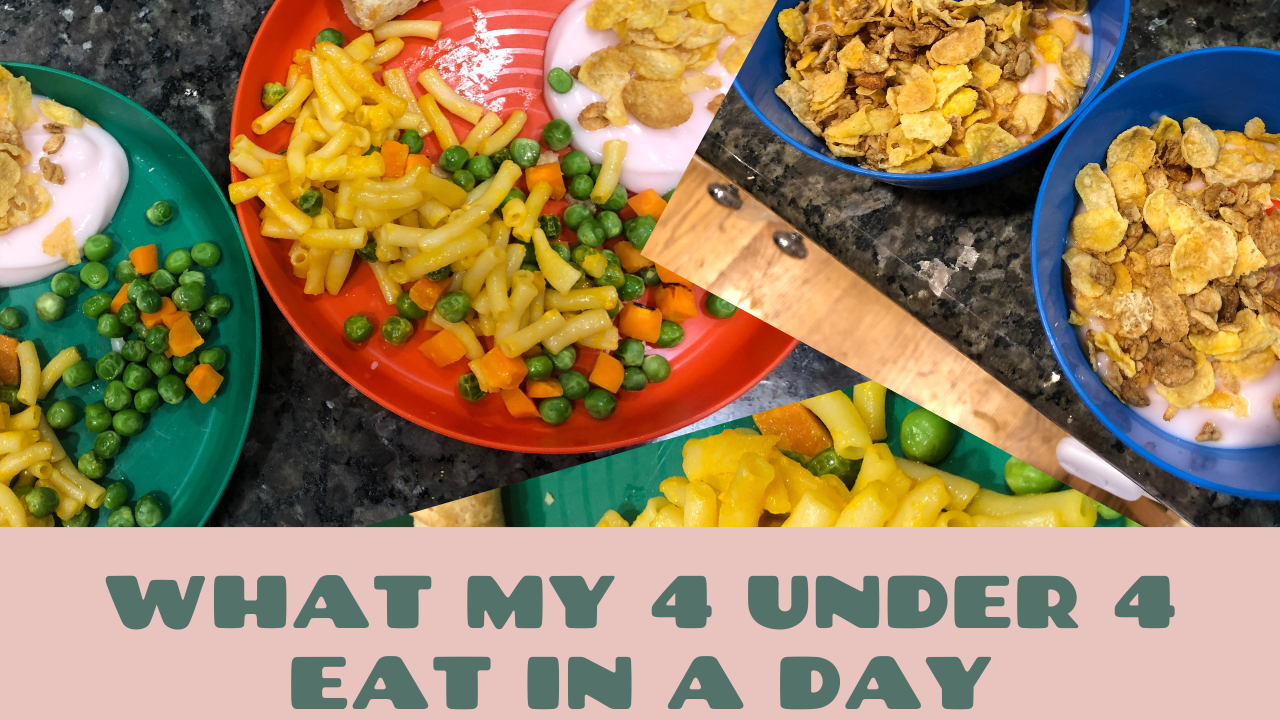 What My 4 Under 4 Eat In A Day - Budget Savvy Diva