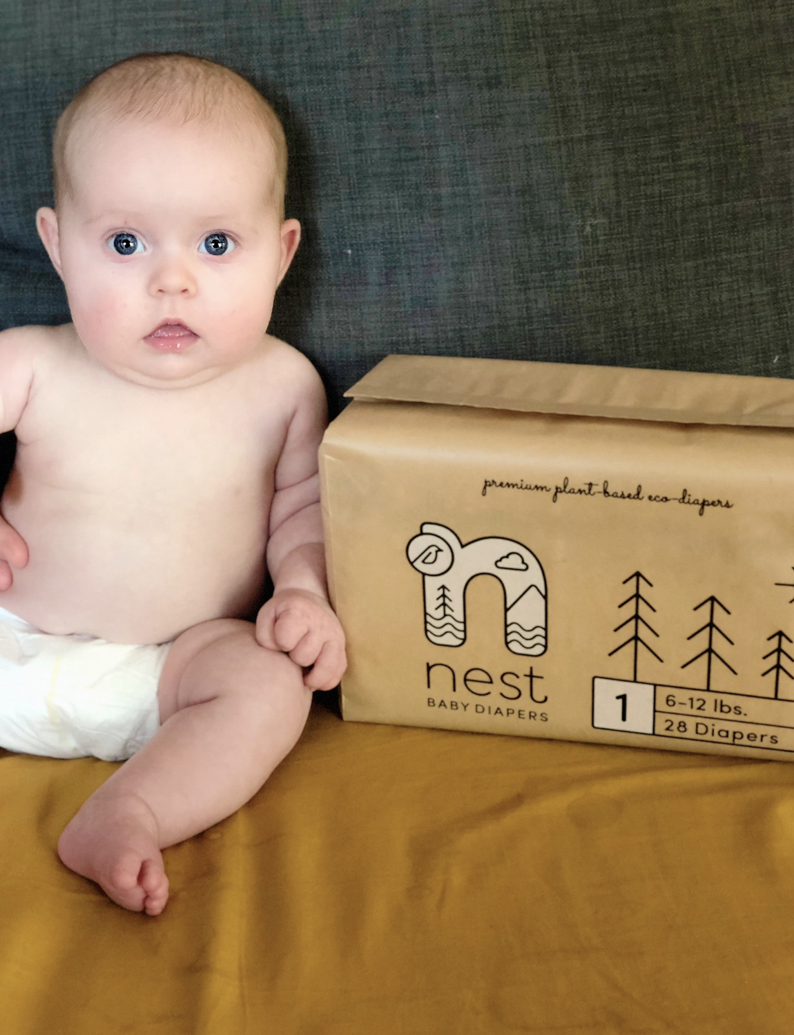 Nest Diapers and Training Pants - Budget Savvy Diva