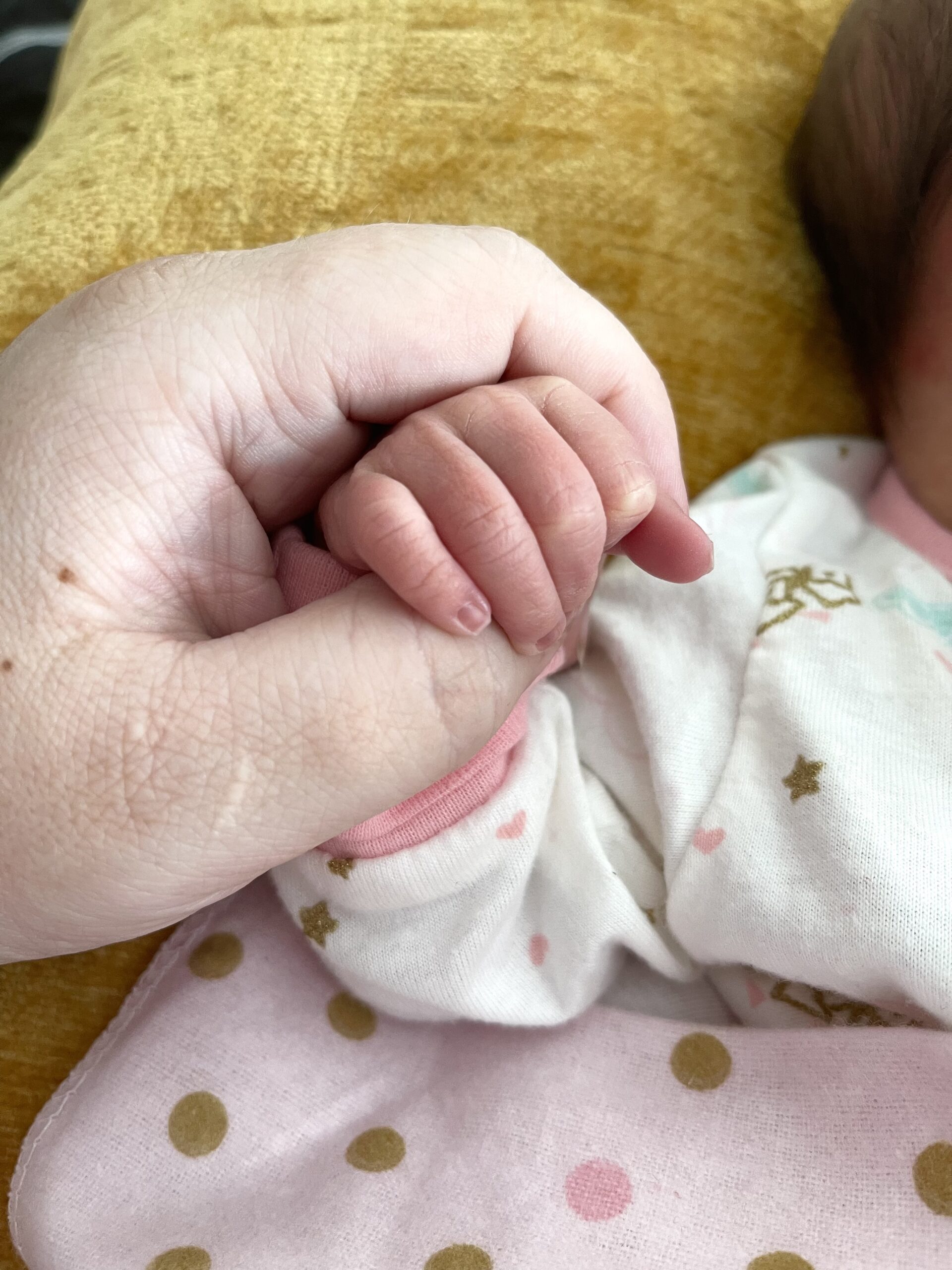 The Best Pasta Sauce Ever Recipe - Budget Savvy Diva