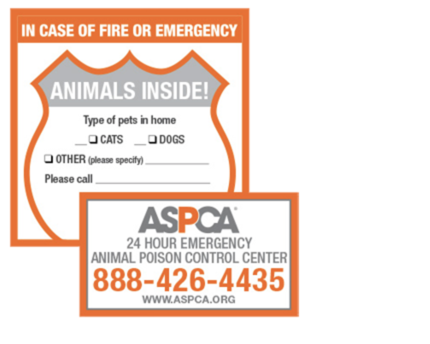 FREE ASPCA Pet Safety Pack Kit - Budget Savvy Diva