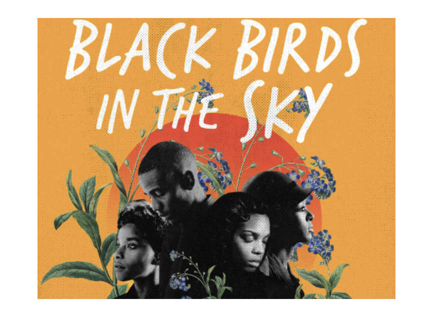 Harper Collins “Black Birds in the Sky” Sweepstakes 100 Winners ...