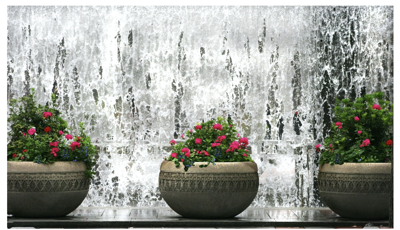 How Do You Keep An Indoor Water Feature Clean? - Budget Savvy Diva