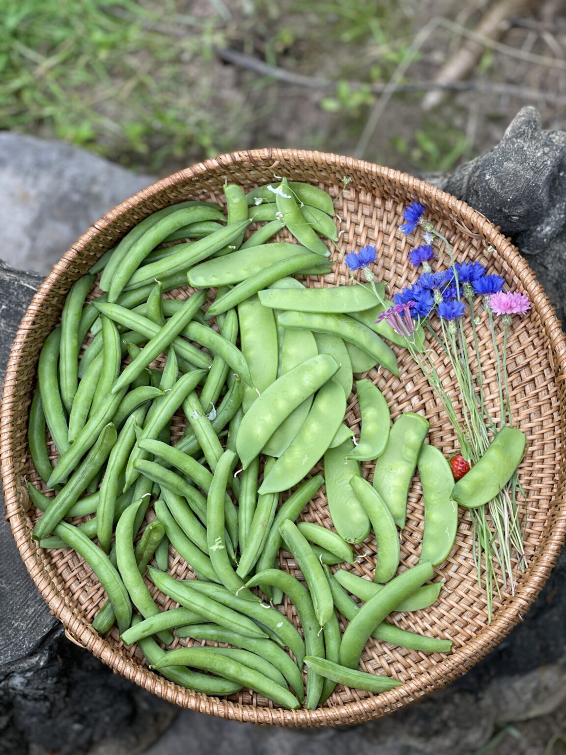 5 Strange But Amazing Uses For Apples - Budget Savvy Diva