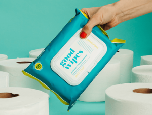 FREE Pack (50 count) of Goodwipes Flushable Wipes from Walmart - Budget ...