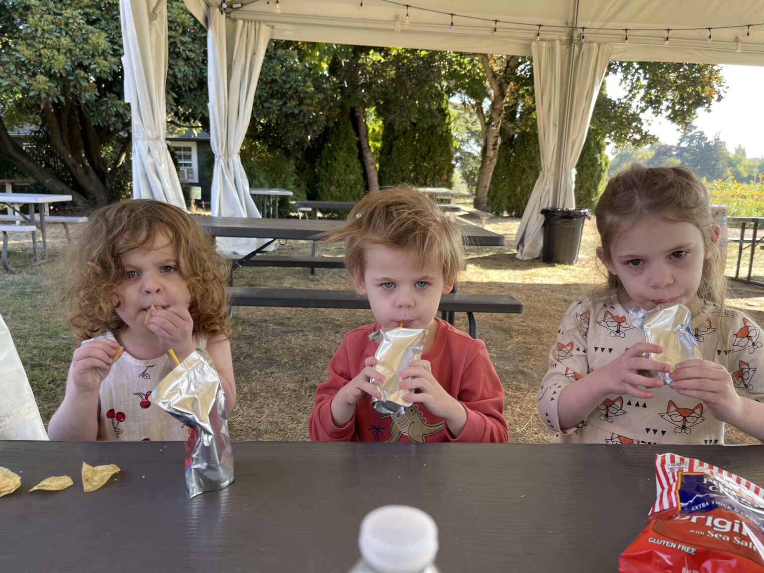 The Pumpkin Patch on Sauvie Island with Five Kids - Budget Savvy Diva