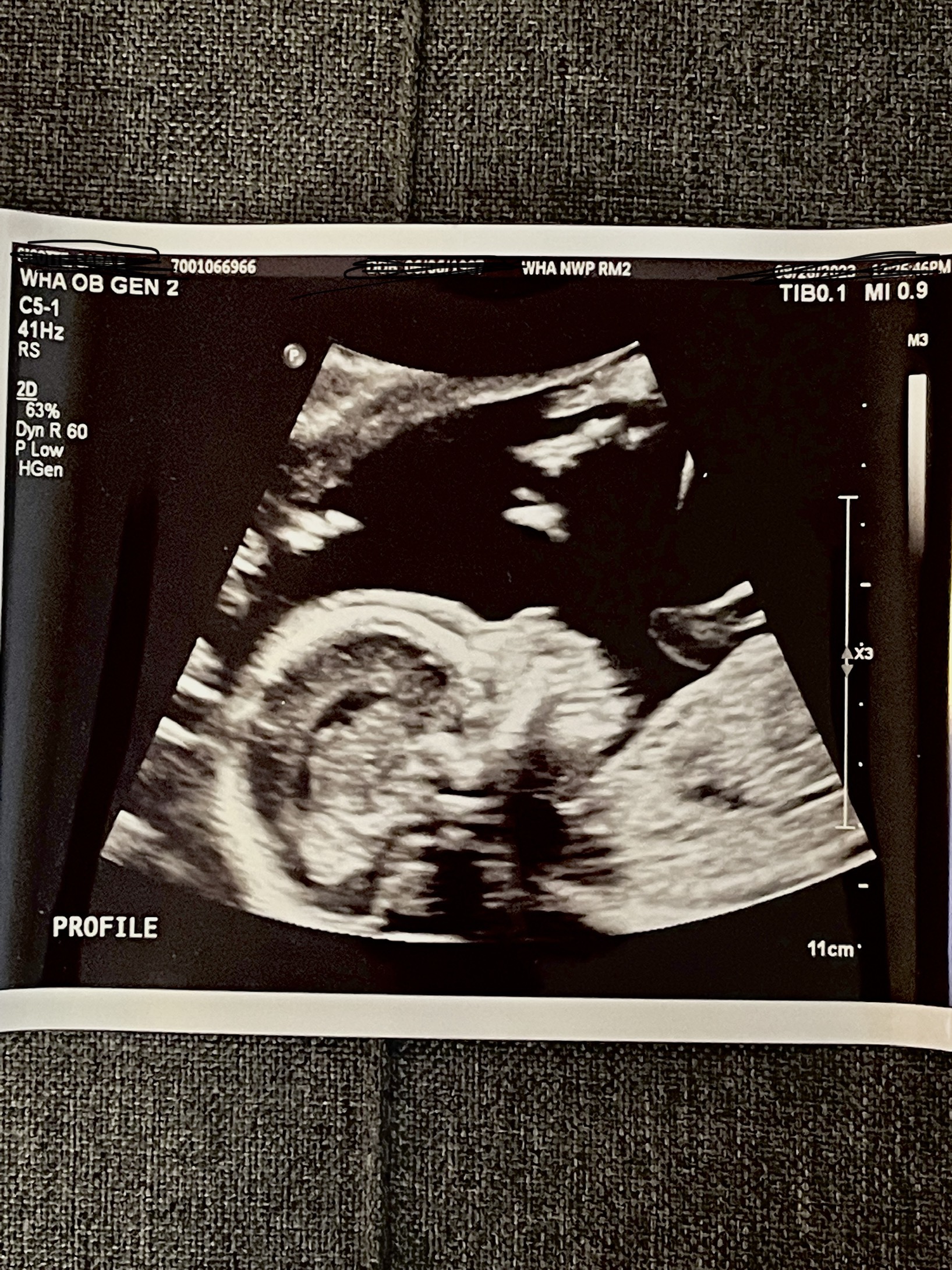 The Best Chocolate Cake Recipe - Budget Savvy Diva