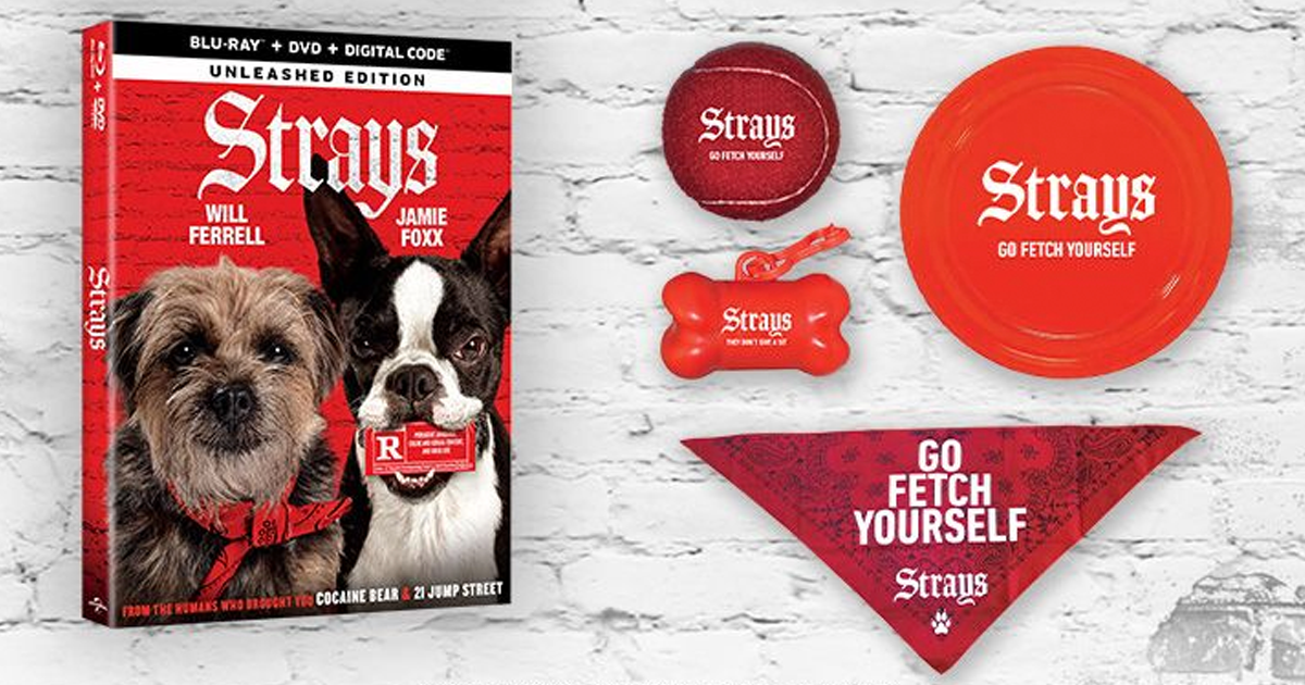 Strays Instant Win Game - Budget Savvy Diva