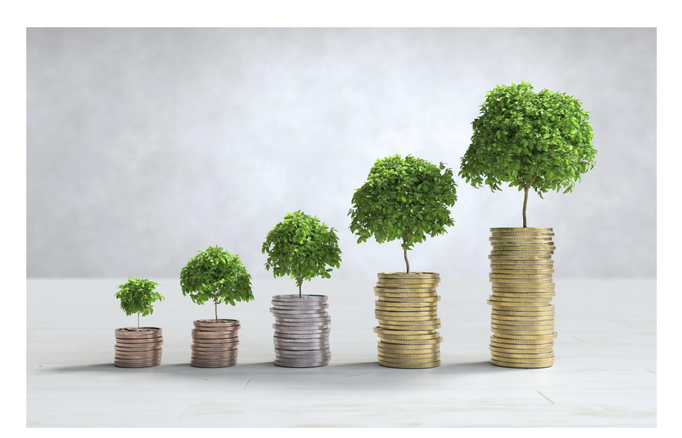 Investing Simplified: A Beginner's Guide to Financial Success - Budget ...