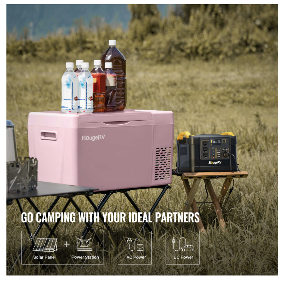 Adding a Pop of Color to Your Space: The Charm of Pink and Purple Mini ...