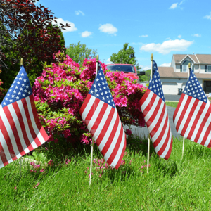 FREE American Flag at Ace Hardware on May 25th - Budget Savvy Diva