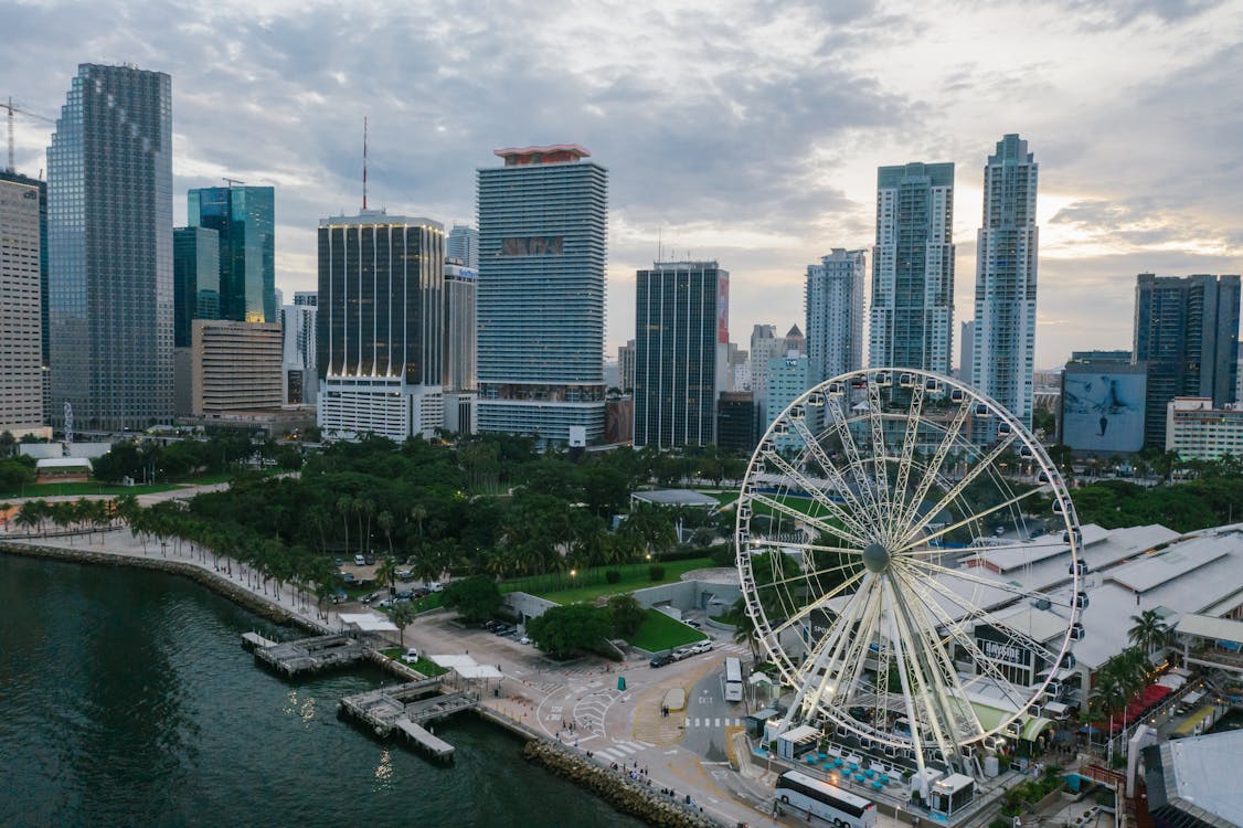 Moving to Miami with the Little Ones? 4 Fun Ways to Learn about the ...
