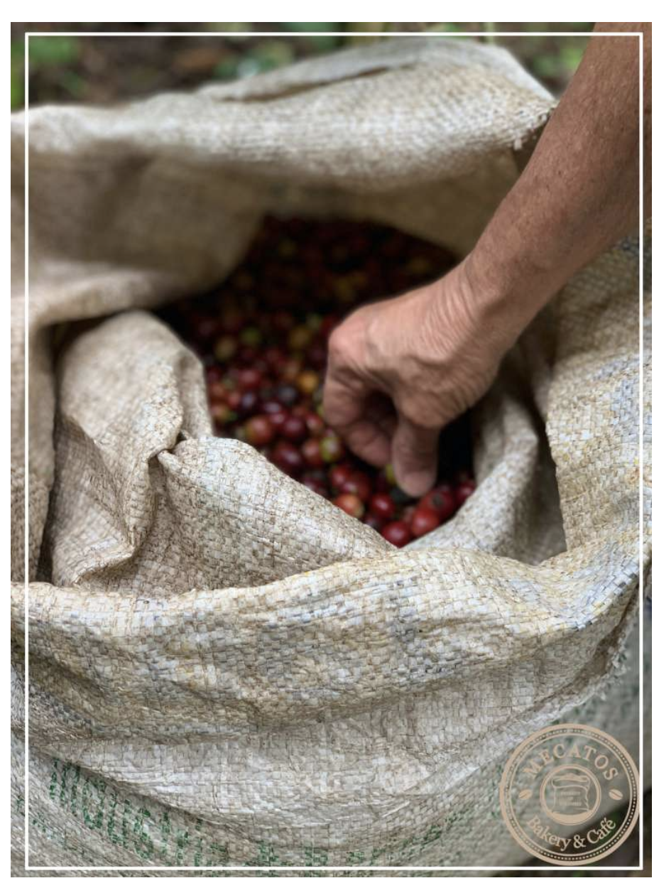 Must-Try Colombian Food Items: A Culinary Journey Through Colombia ...