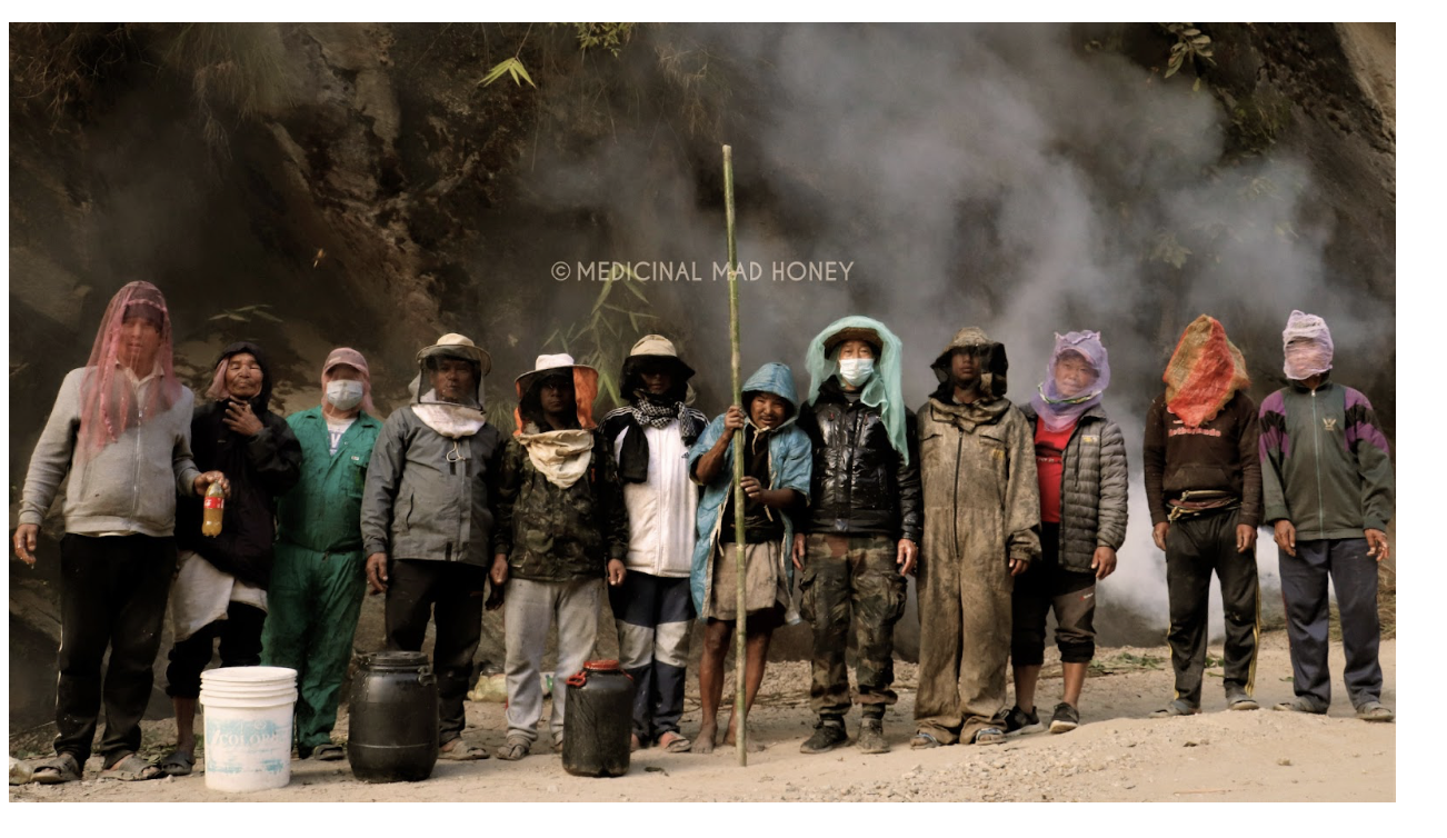 Mad honey hunting on the cliffs by the brave Nepali hunters - Budget ...