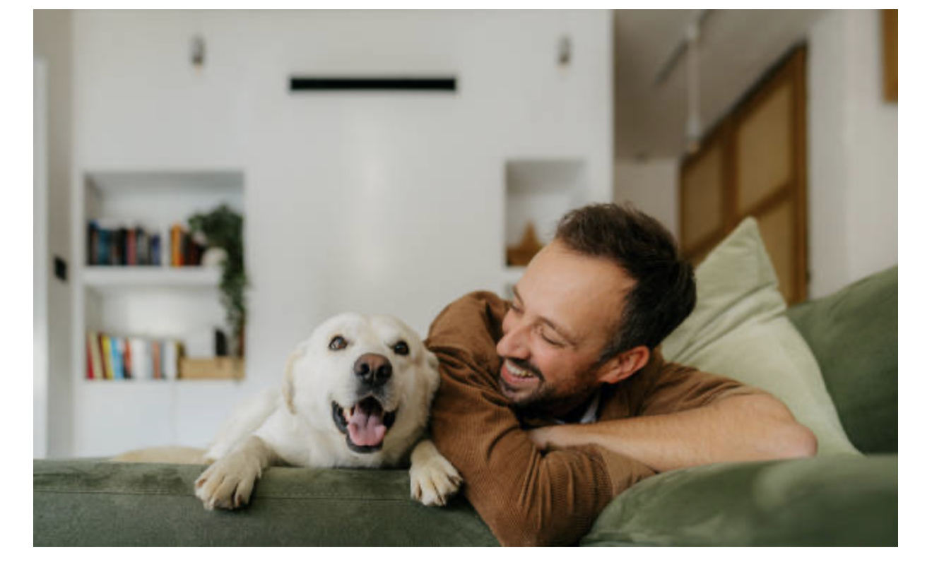 Tenant's Guide to Successful Pet Interviews - Budget Savvy Diva