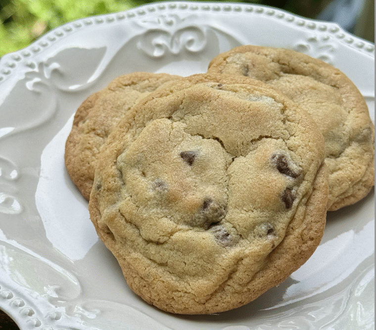 The Best Soft Chocolate Chip Cookies Recipe - Budget Savvy Diva